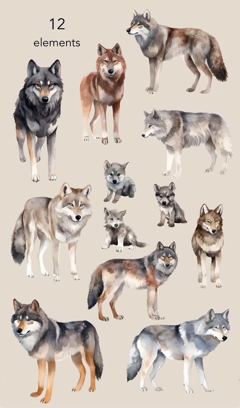 Watercolor Wolf Clipart, Wolf Pup Png File, Wolf Pack Clipart, North ...