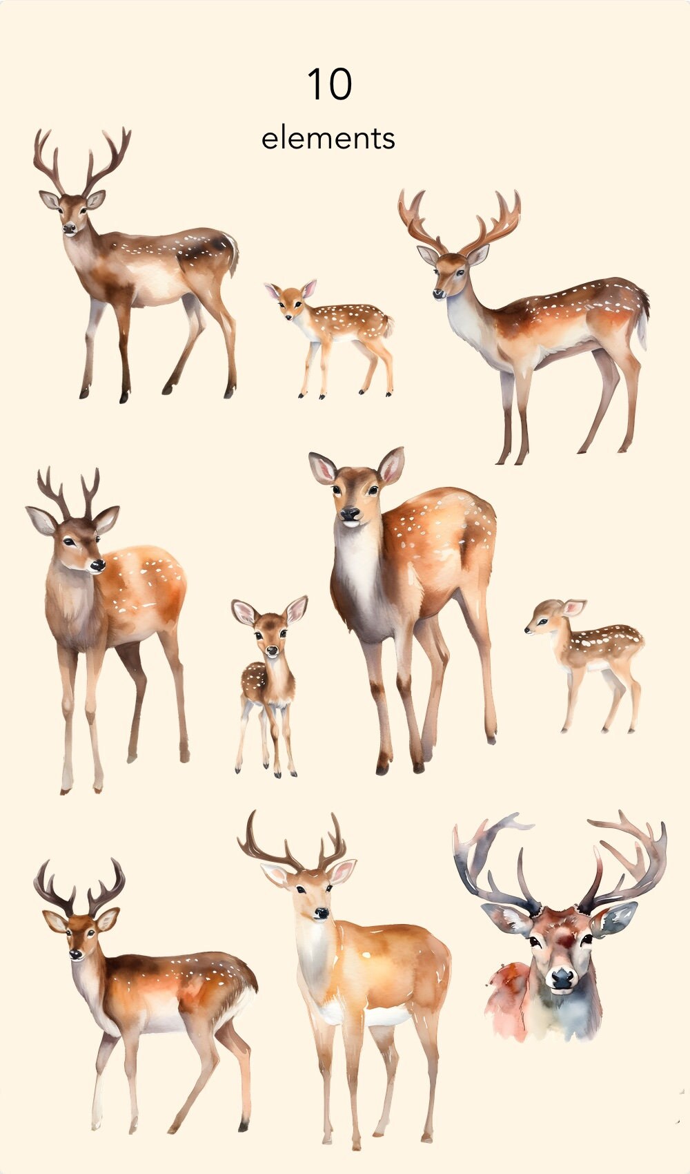 Watercolor Clipart Deer, Woodland Wildlife, Forest Animals, Antler ...
