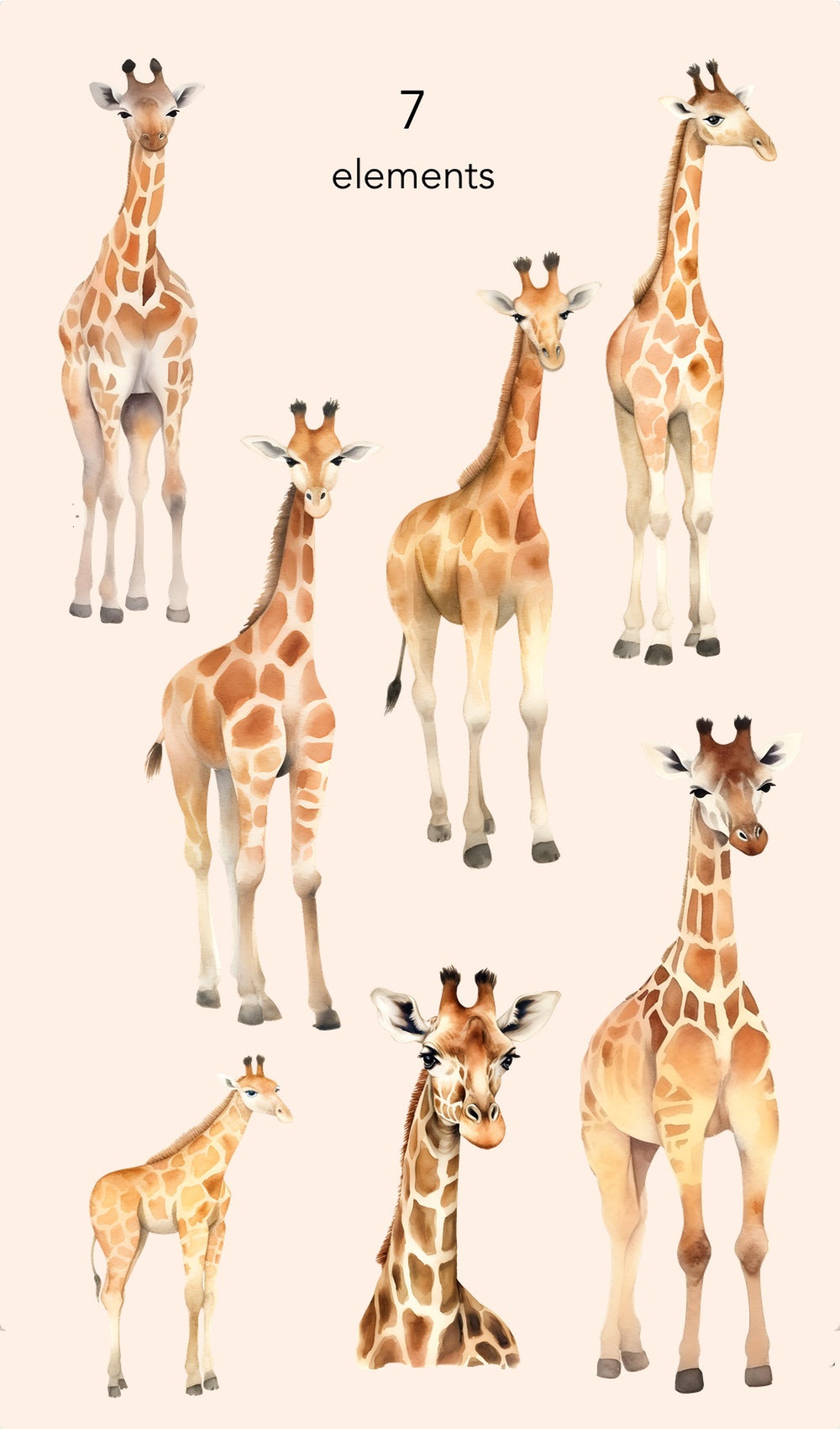Watercolor Clipart Giraffes, Zfari Animals, Zoo Images, Png Files ...