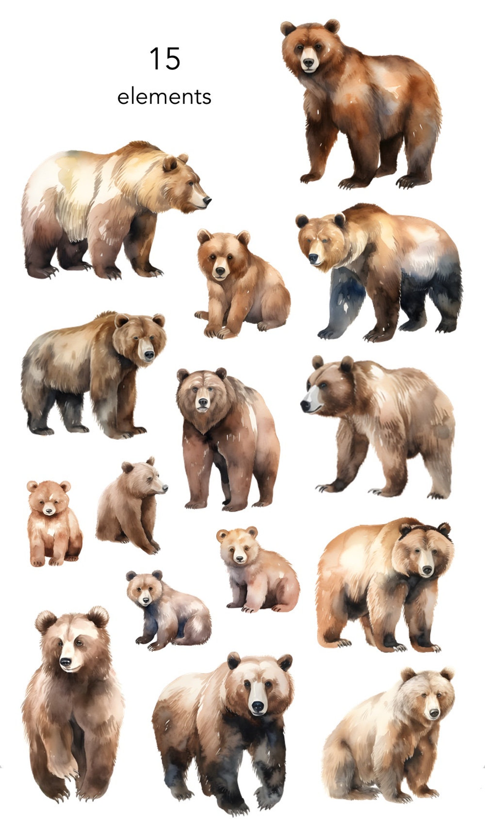 Watercolor Grizzly Bear Clipart, Baby Bear Clipart, Brown Bear Clip Art ...