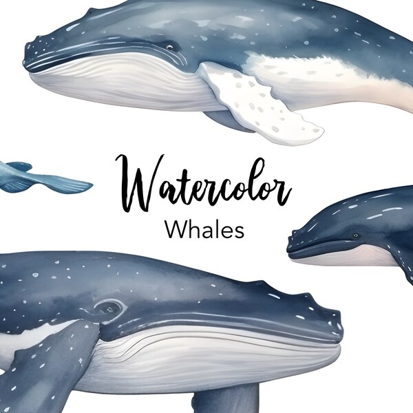 Blue Whale Clipart - Etsy