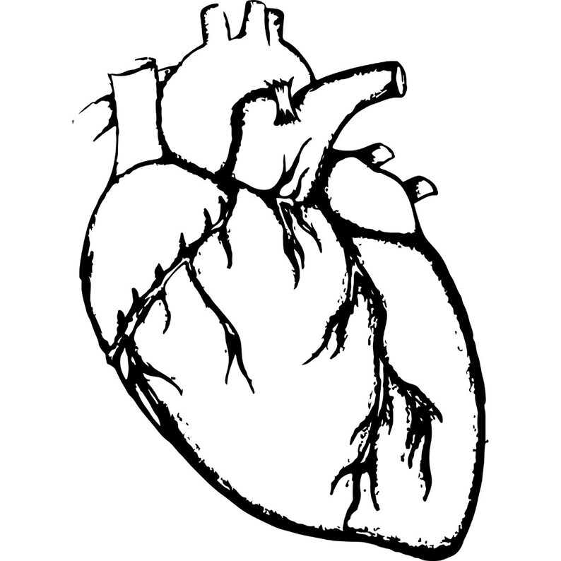 Chromatic Odyssey: the Artisan's Realm. Advanced Coloring Pages for ...