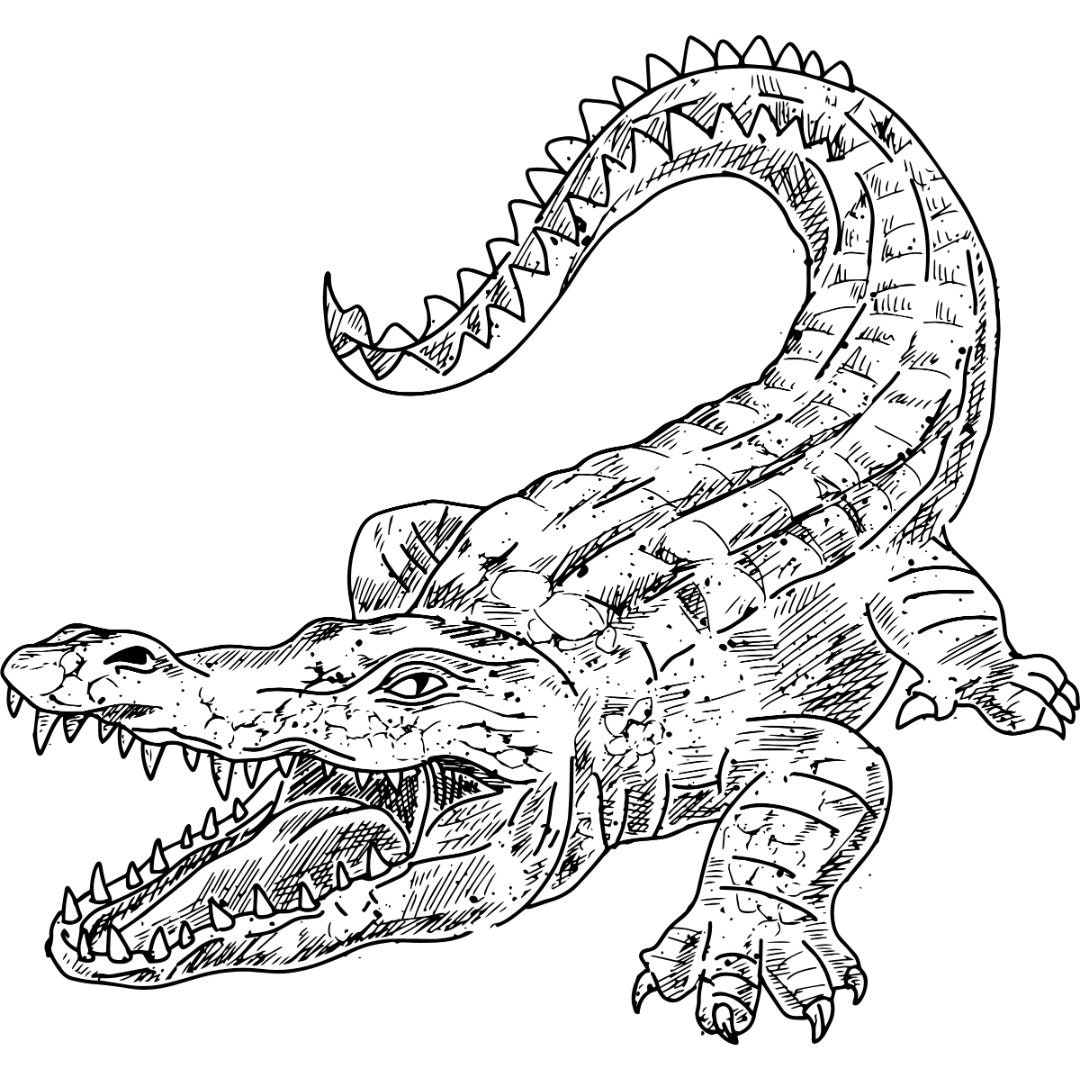 Wildworld- Intermediate Coloring Pages With Various Types of Sketches ...