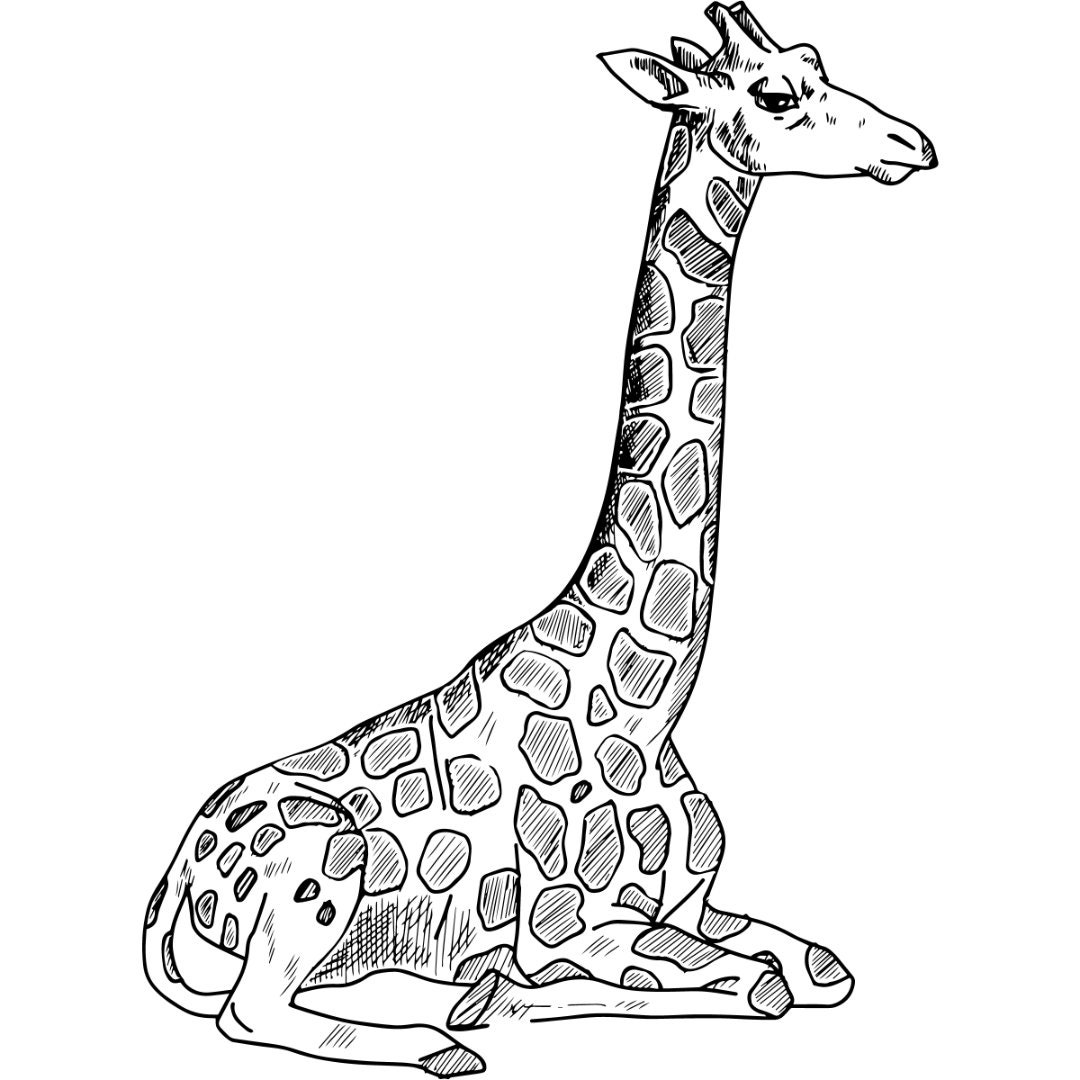 Wildworld- Intermediate Coloring Pages With Various Types of Sketches ...