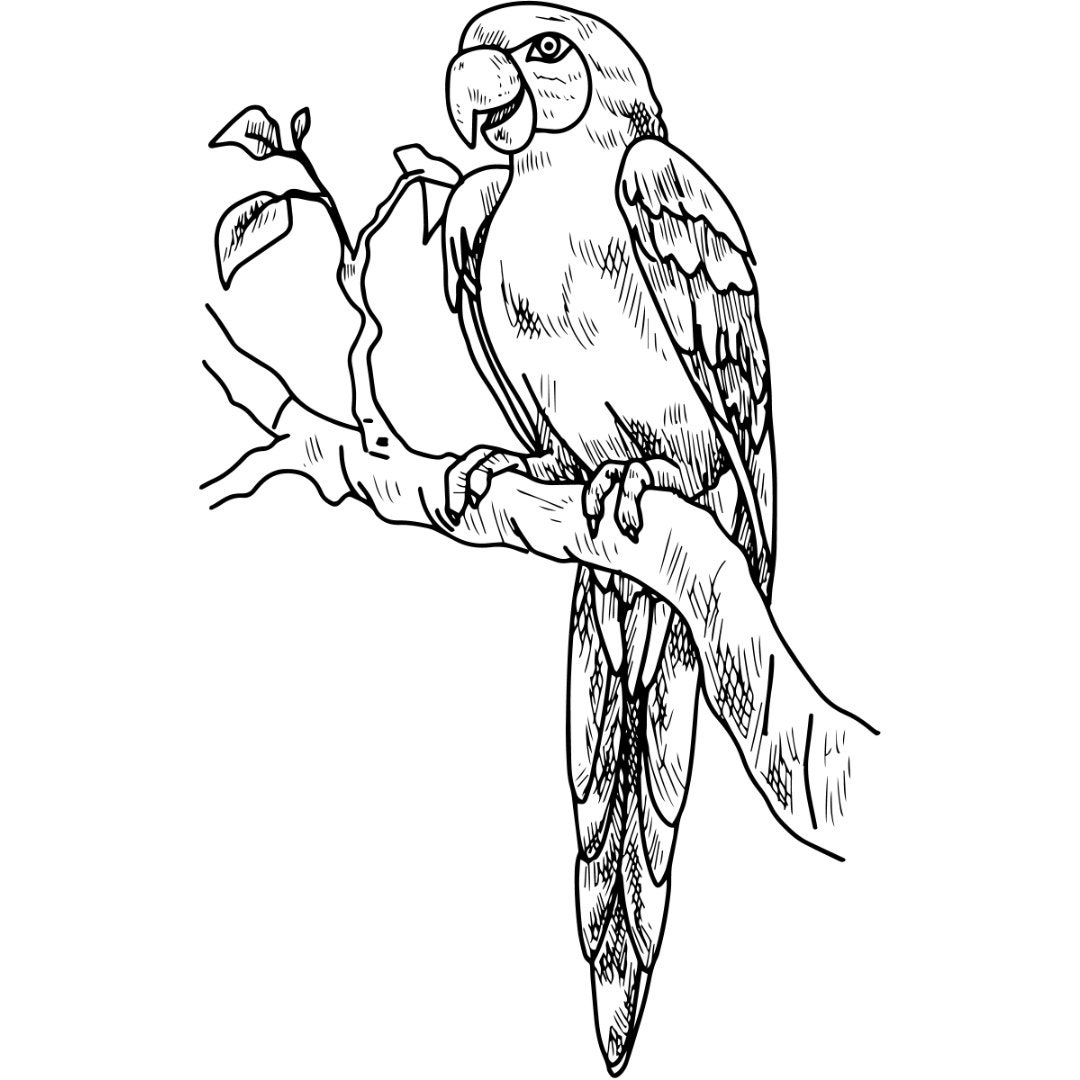 Wildworld- Intermediate Coloring Pages With Various Types of Sketches ...