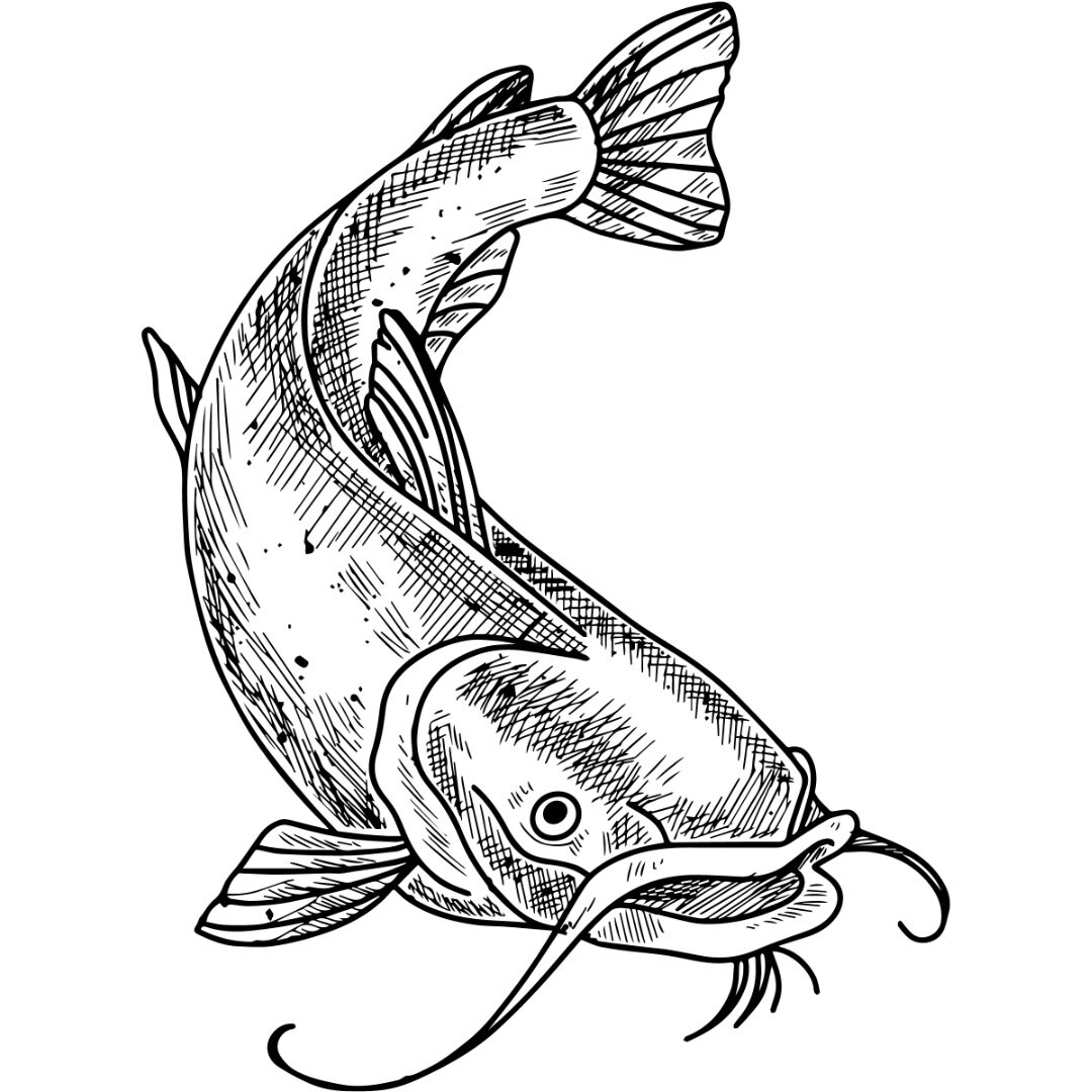 Wildworld- Intermediate Coloring Pages With Various Types of Sketches ...