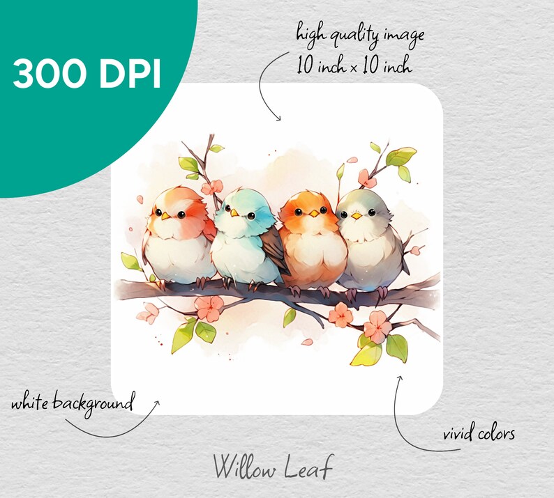 Cute Birds Clipart 12 High Quality PNG Watercolor Clipart Digital ...