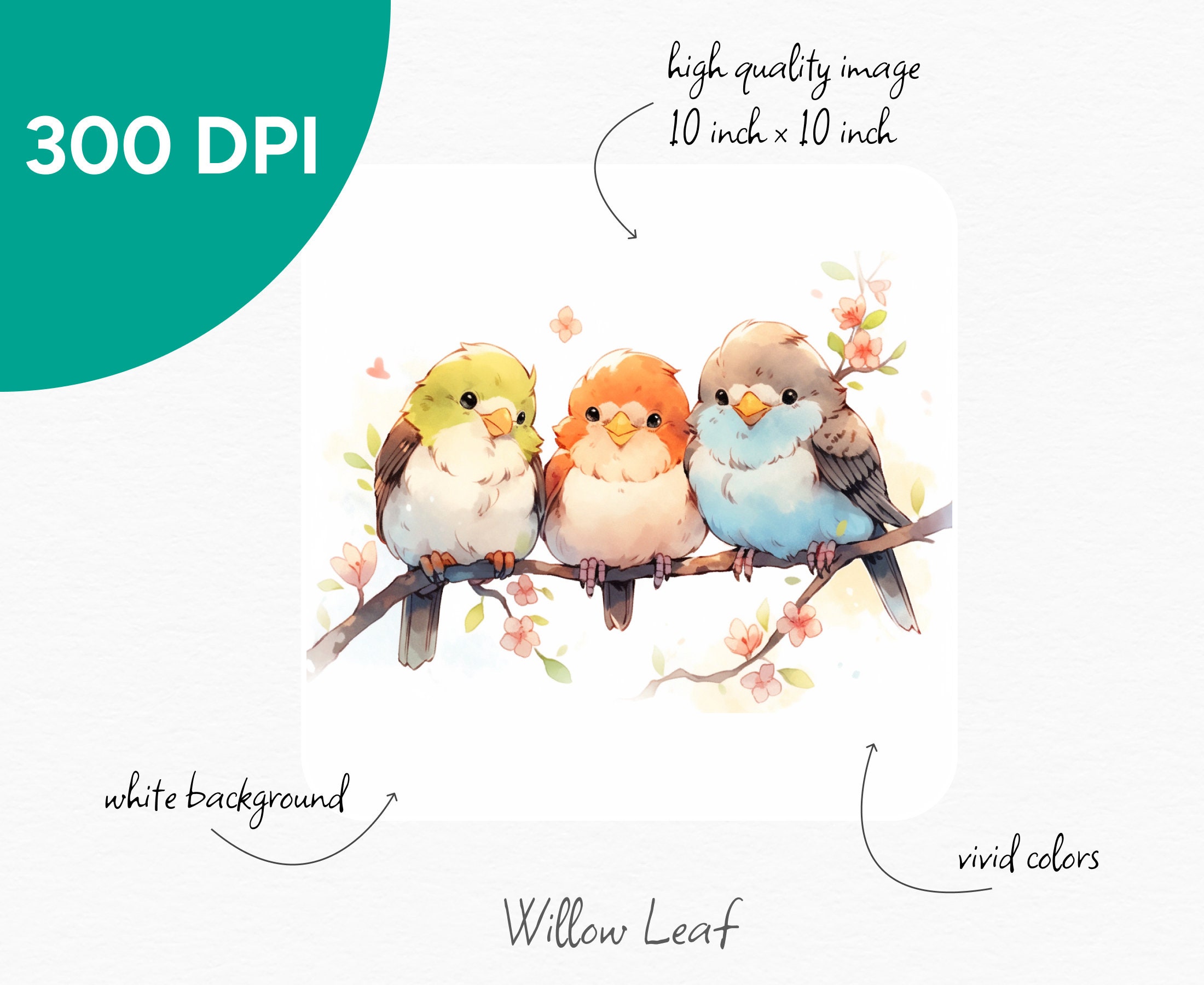 3 Cute Birds Clipart 12 High Quality PNG Watercolor Clipart - Etsy