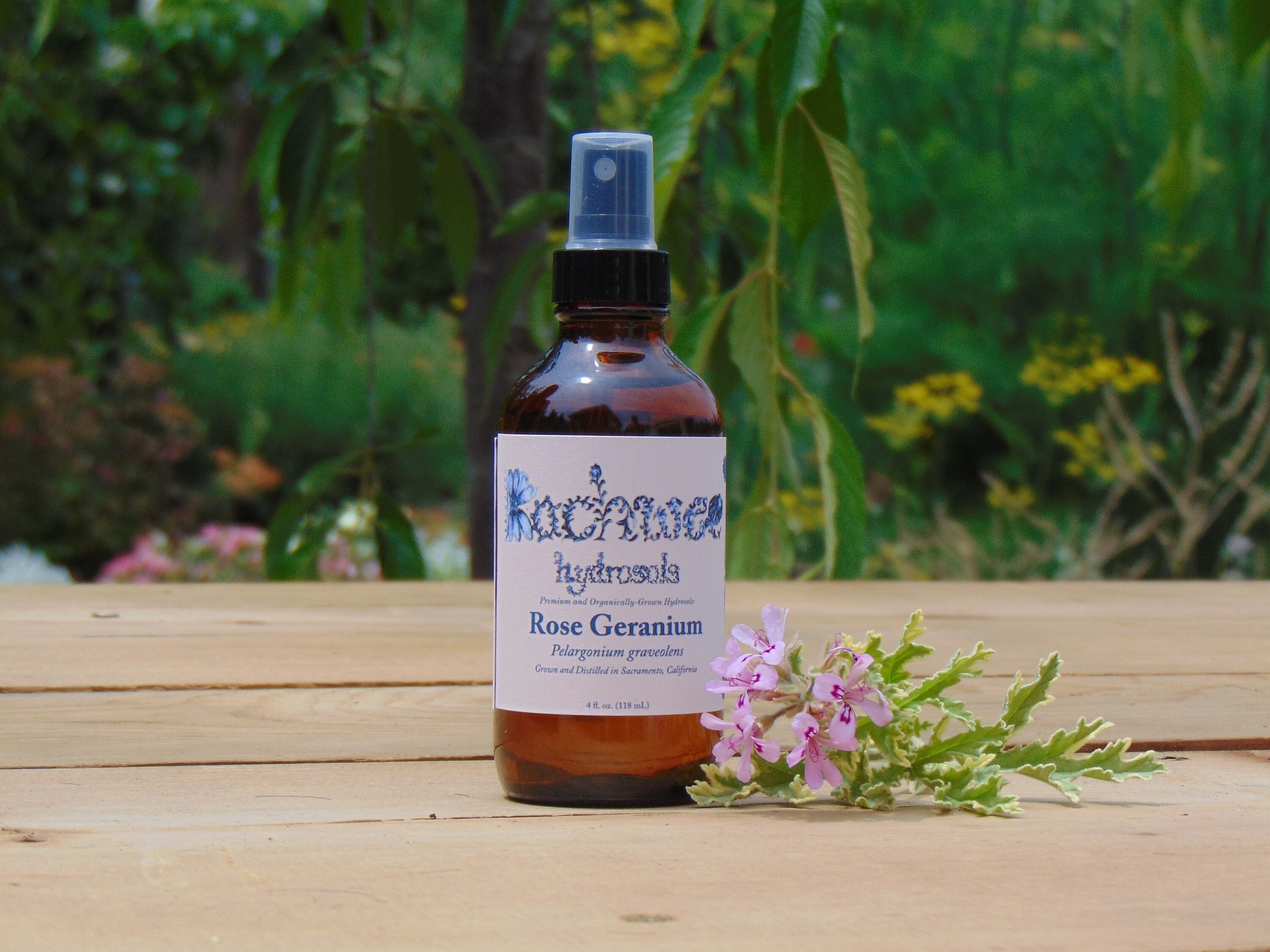 Rose Geranium Hydrosol locally-grown and Organic - Etsy