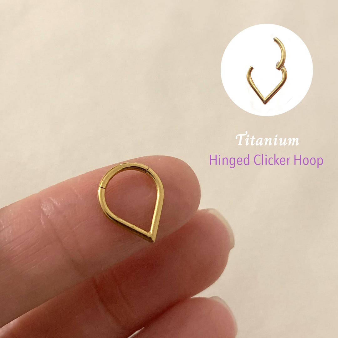 16G Titanium Teardrop Hinged Segment Nose Ring • Nose Hoop • Seamless ...