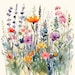 Watercolor Wildflower Wall Art Print: Floral Illustration (digital ...
