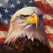 The Emblem of Freedom - Bald Eagle Art, American Flag Print, Patriotic ...