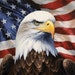 The Emblem of Freedom - Bald Eagle Art, American Flag Print, Patriotic ...