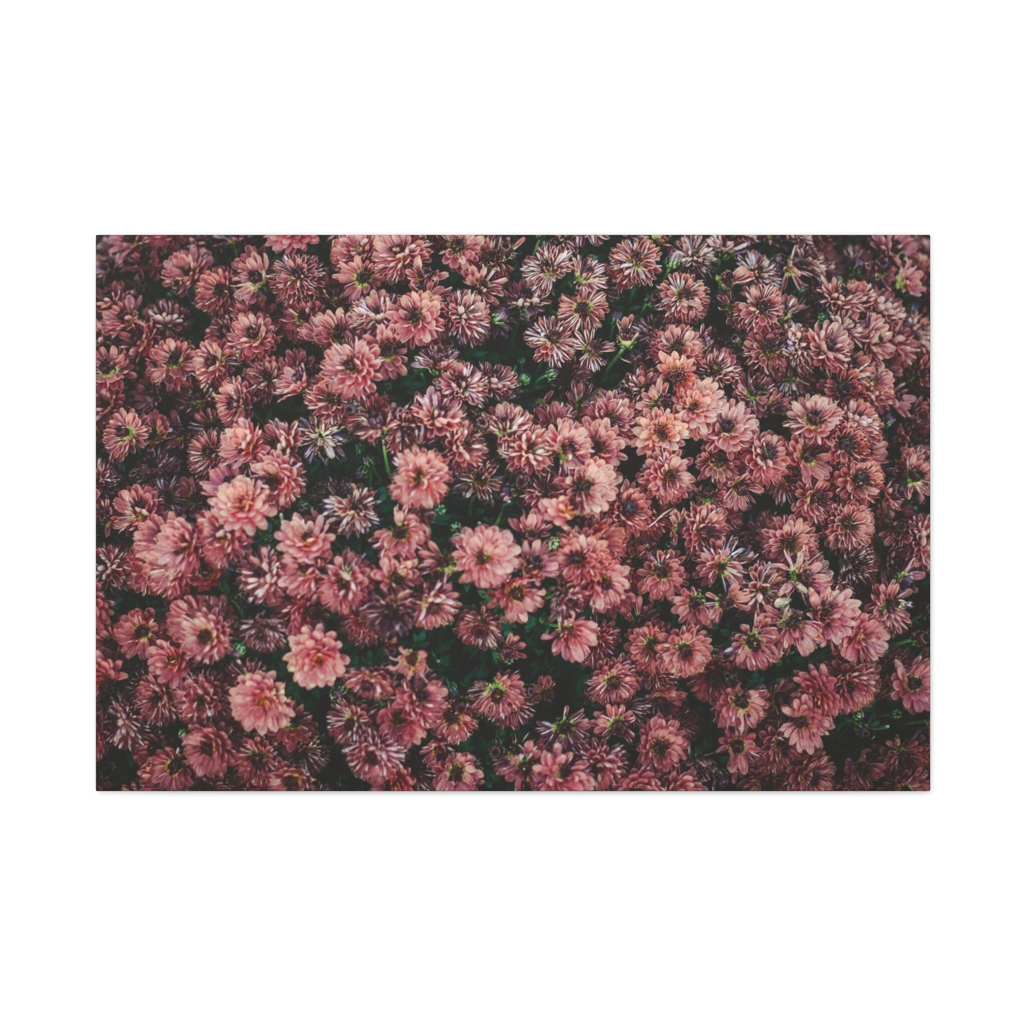 Aesthetically Pleasing Flower Wall Art Print - Etsy