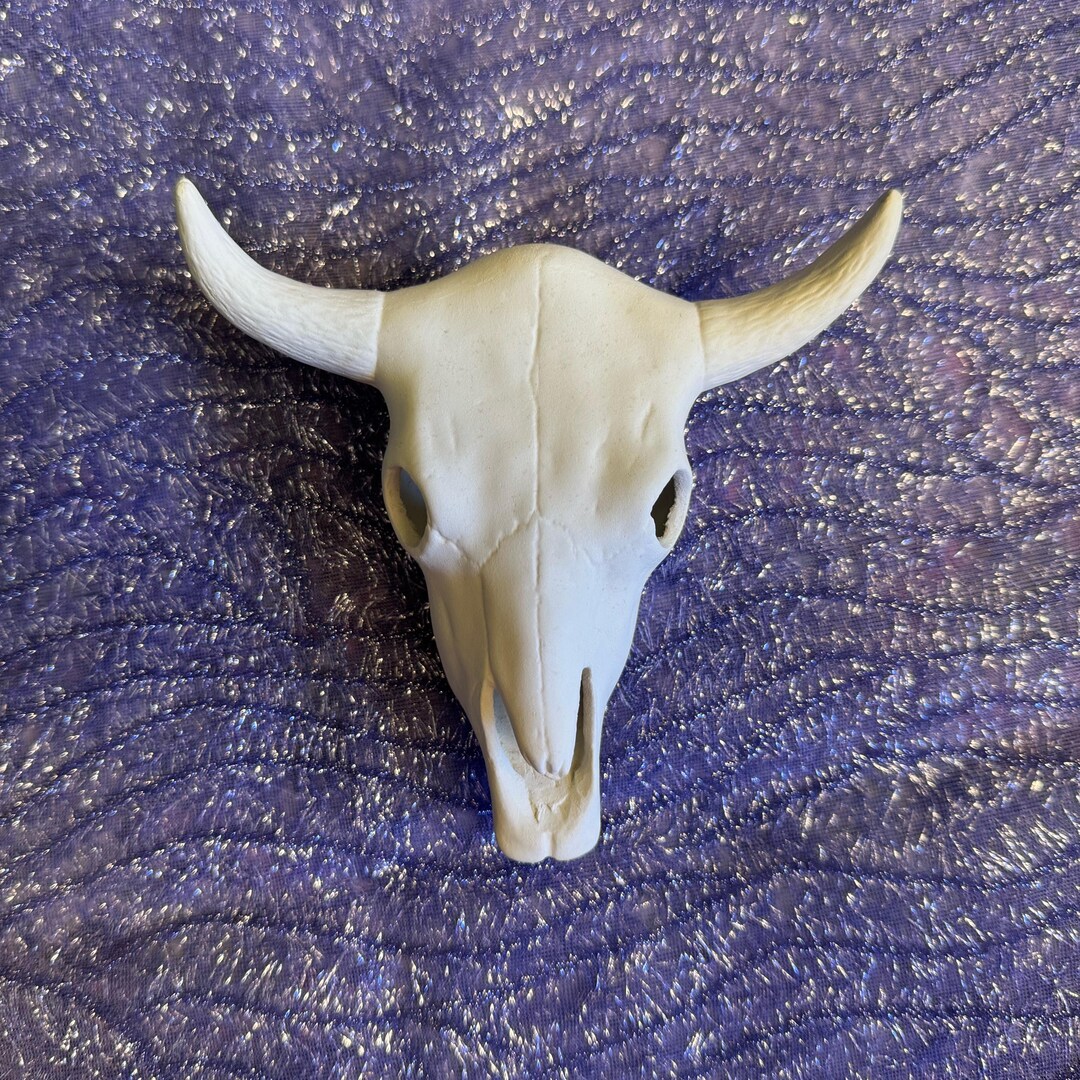 Unpainted Ceramic Bisque Skull, Ready to Paint Ceramic Bisque Bull Cow ...