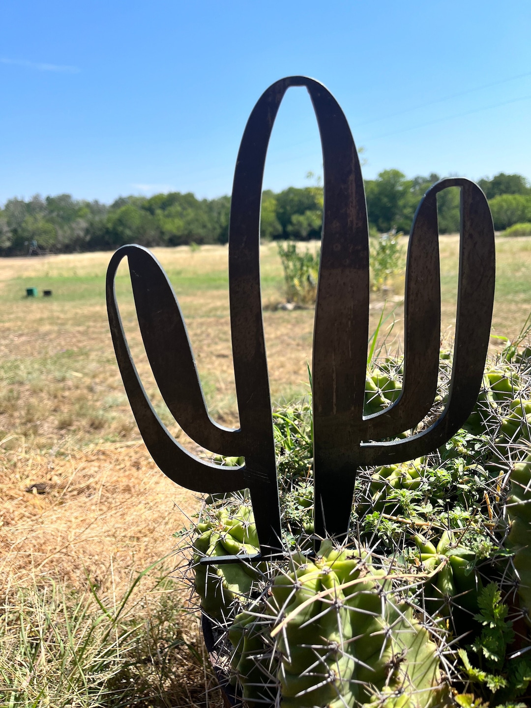 Metal Saguaro Cactus Garden Stake, Desert Cactus, Garden and Yard Art ...