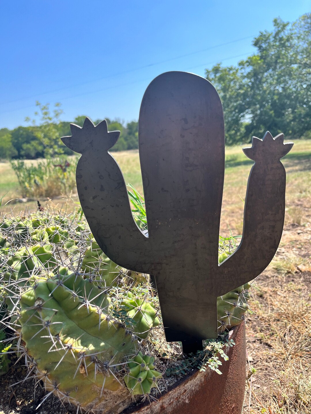 Metal Cactus With Flowers Garden Stake, Desert Cactus, Garden and Yard ...