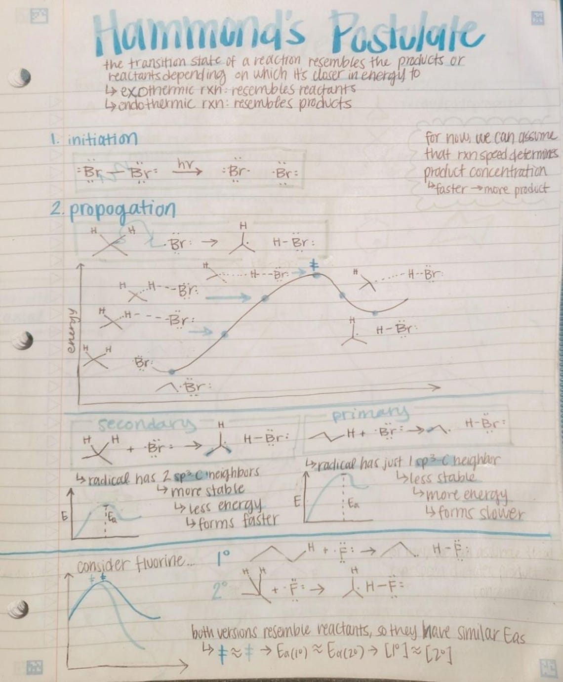 Organic Chemistry 1 Notes - Etsy