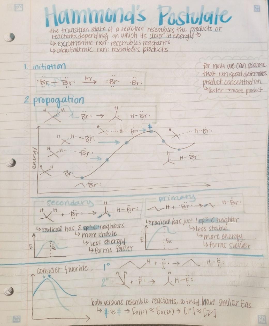 Organic Chemistry 1 Notes - Etsy