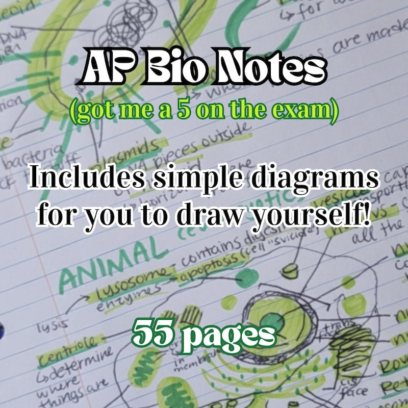 Ap Biology One Pager - Etsy