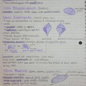 Zoology Notes (integrated Principles of Zoology) - Etsy