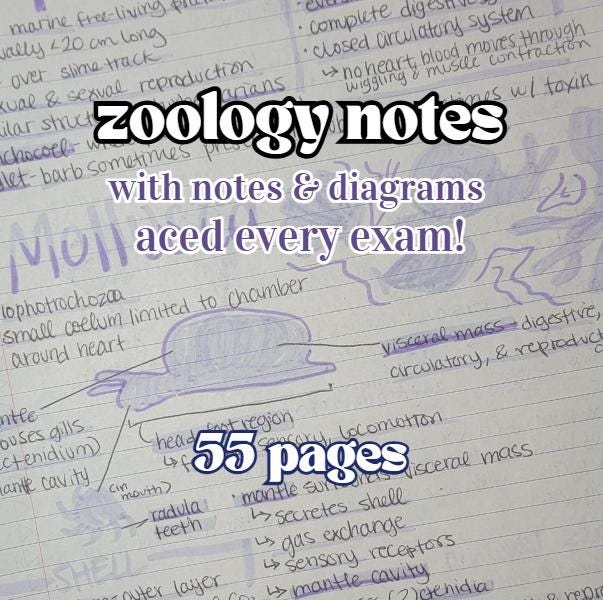 Zoology Notes (integrated Principles of Zoology) - Etsy