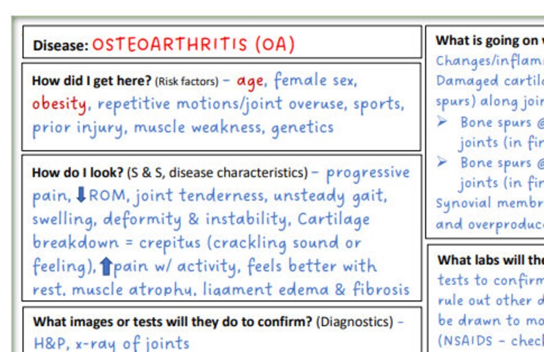 Osteoarthritis RN Study Notes by a NURSING PROFESSOR! - Etsy