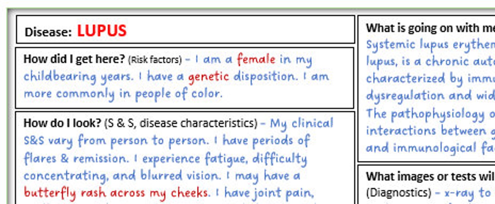 Lupus (SLE) RN Study Notes by a Nursing PROFESSOR! - Etsy