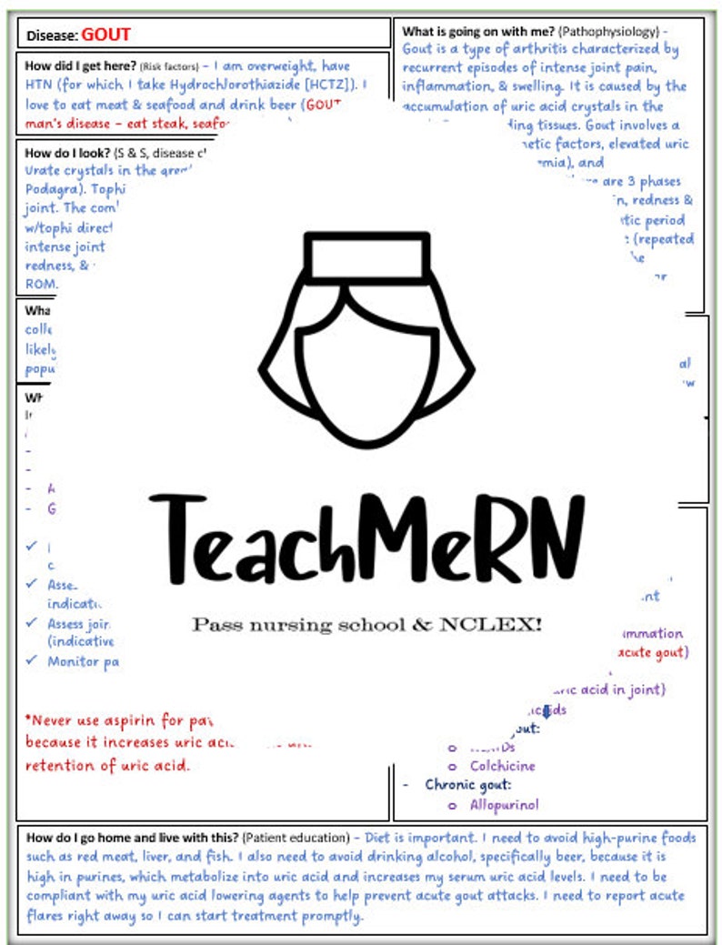 Gout RN Study Notes by a NURSING PROFESSOR! - Etsy