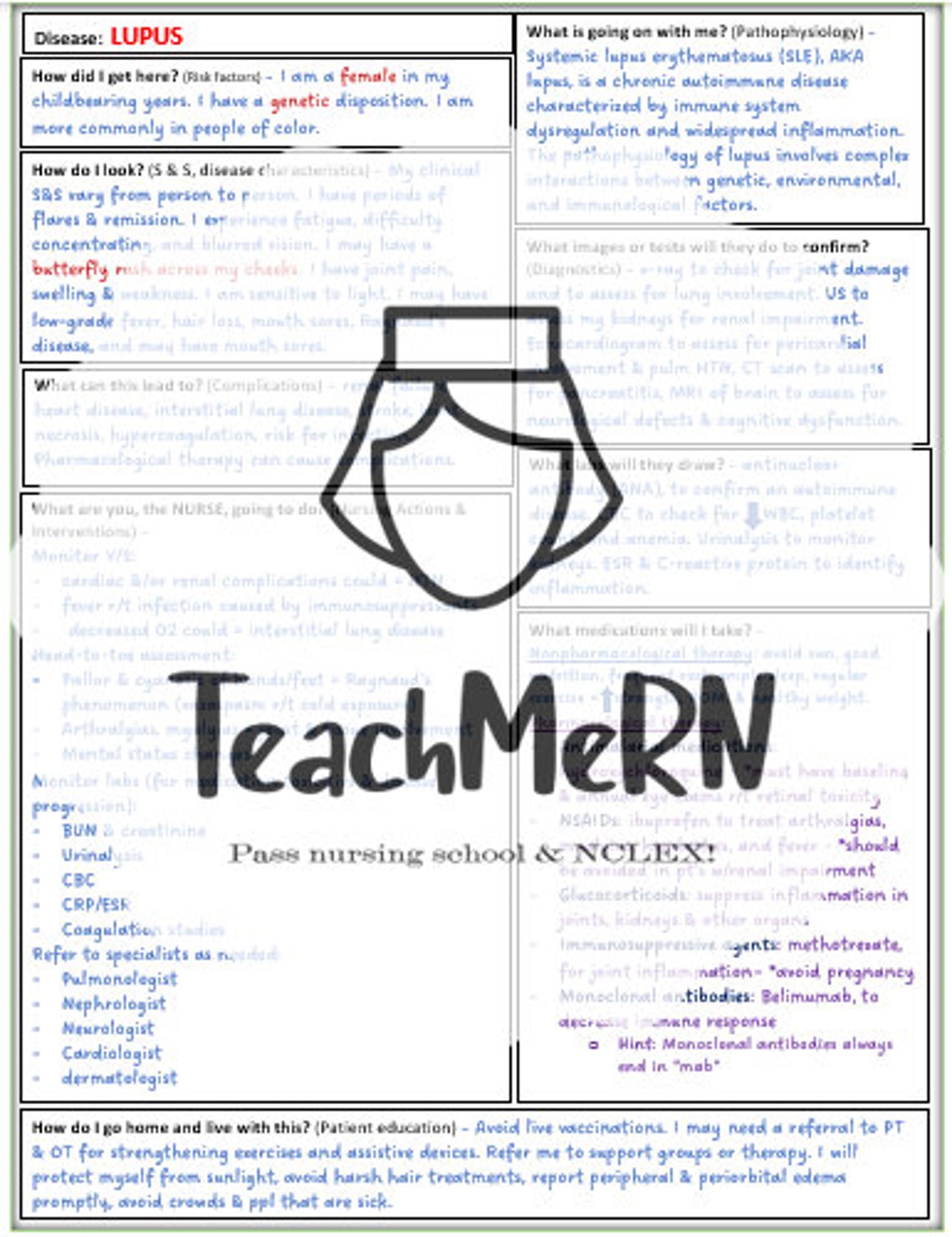 Lupus (SLE) RN Study Notes by a Nursing PROFESSOR! - Etsy