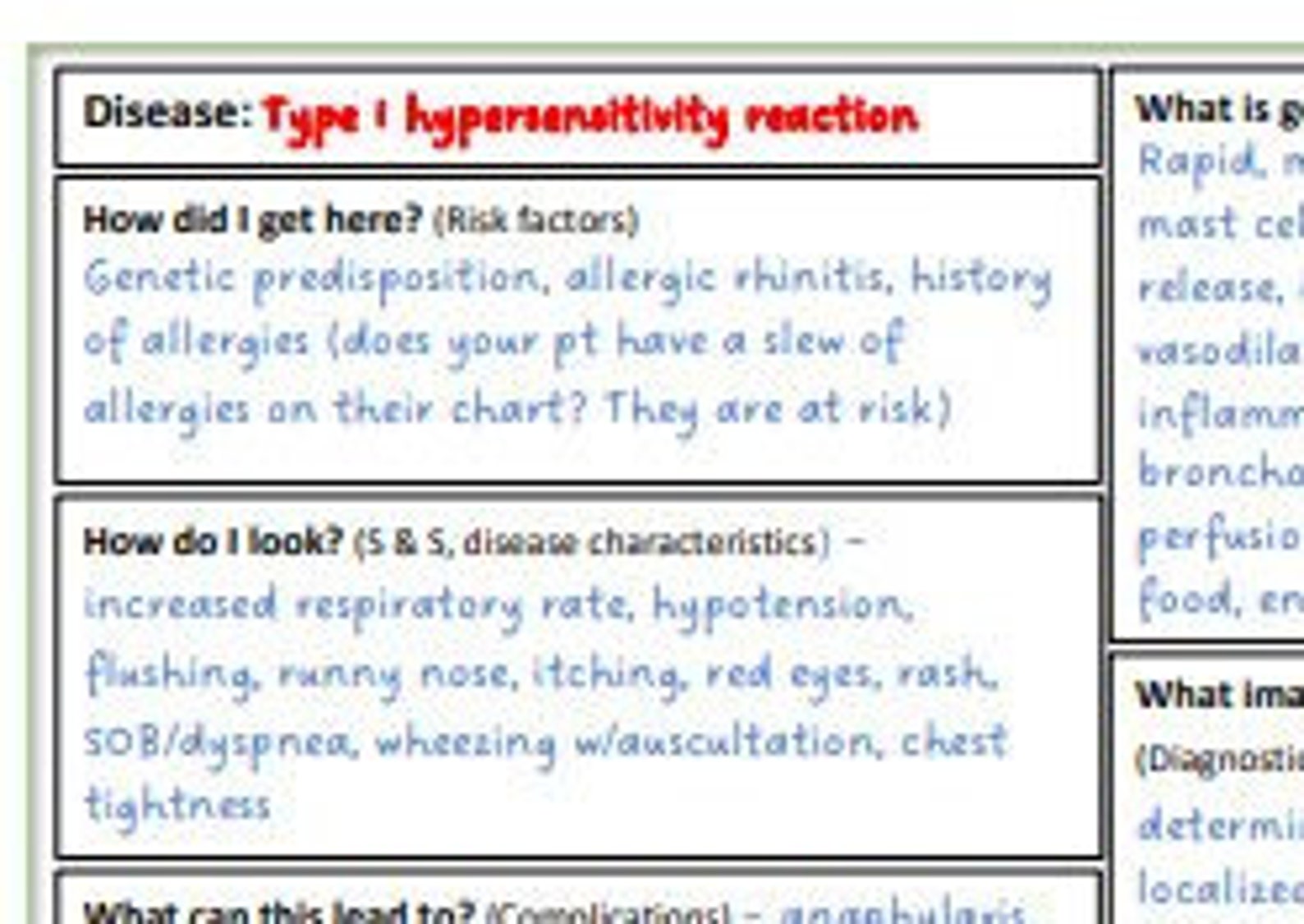 Hypersensitivity Reaction RN Study Notes by a NURSING PROFESSOR - Etsy