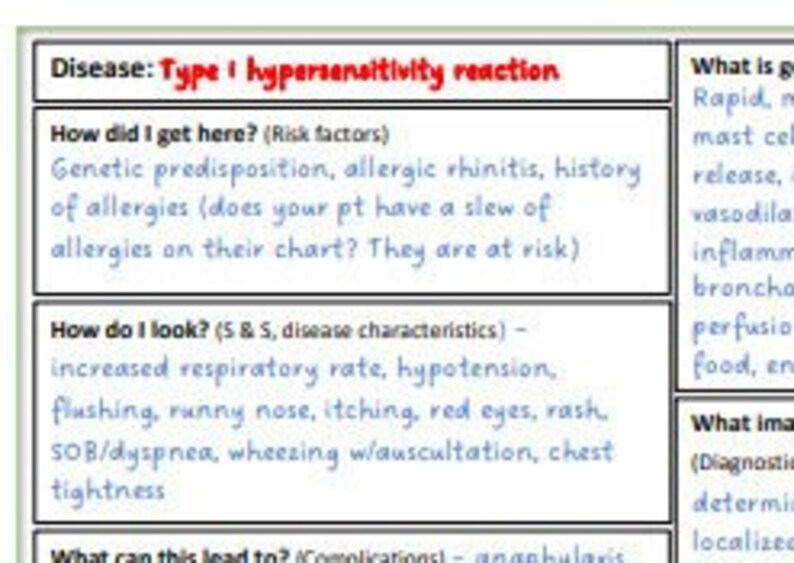 Hypersensitivity Reaction RN Study Notes by a NURSING PROFESSOR! - Etsy