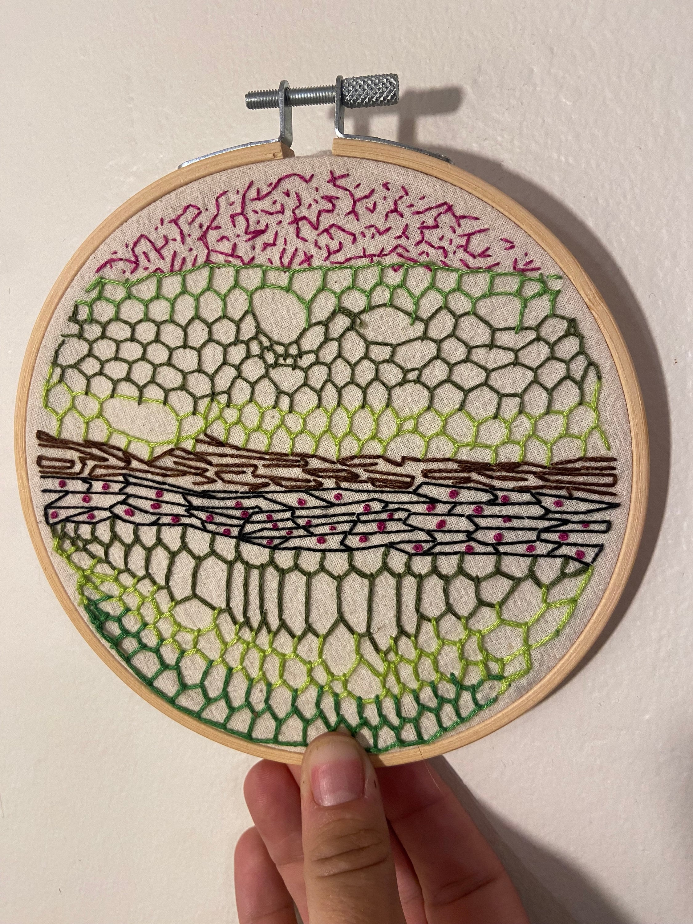 Tree Cells Under Microscope - Etsy