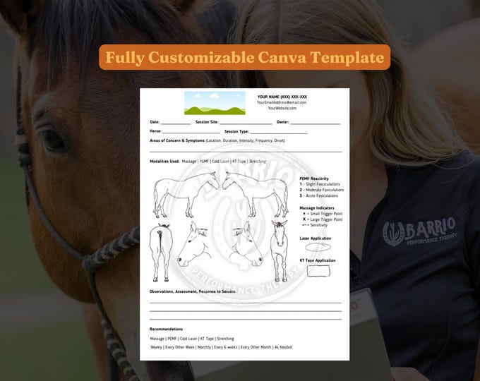 Equine Bodyworker Session Notes | Form for Equine Massage | PEMF | KT ...