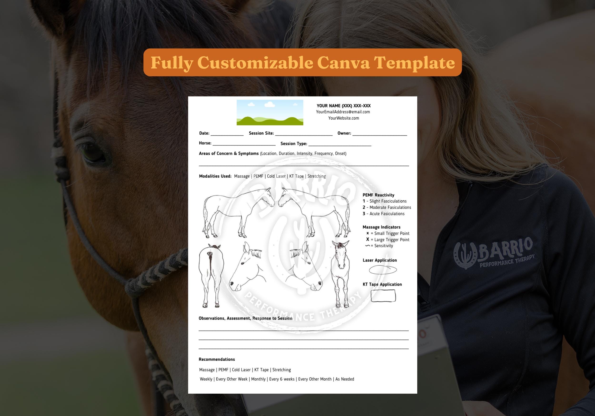 Equine Bodyworker Session Notes | Form for Equine Massage | PEMF | KT ...