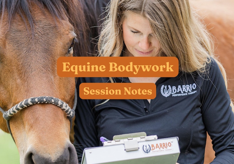 Equine Bodyworker Session Notes | Form for Equine Massage | PEMF | KT ...