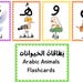 Body Parts Flashcards in Arabic and English - Etsy