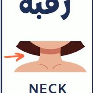 Body Parts Flashcards in Arabic and English - Etsy