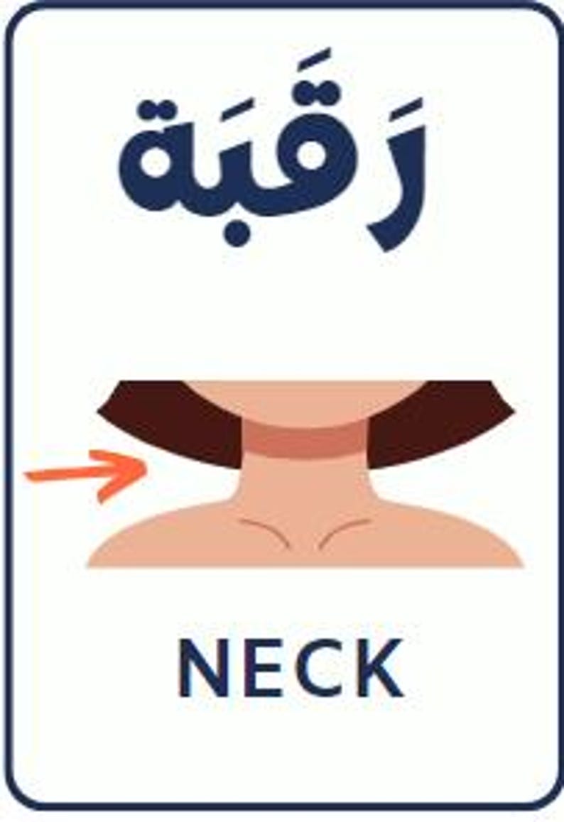 Body Parts Flashcards in Arabic and English - Etsy