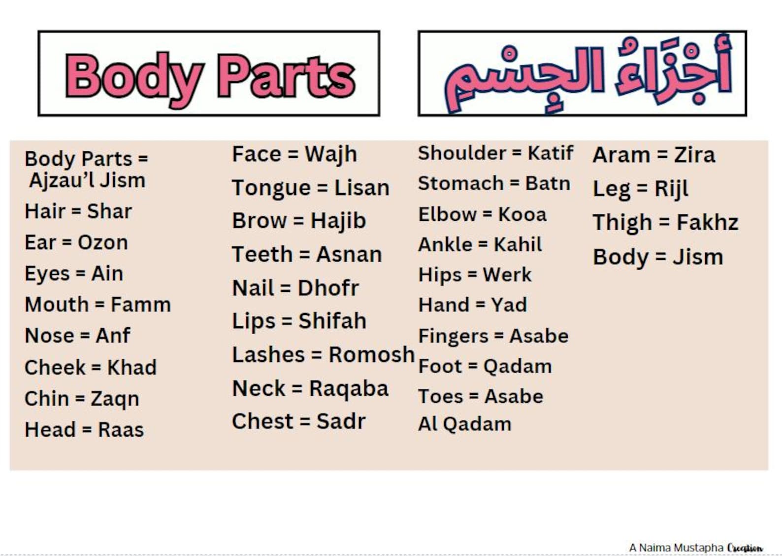 Body Parts Flashcards in Arabic and English - Etsy