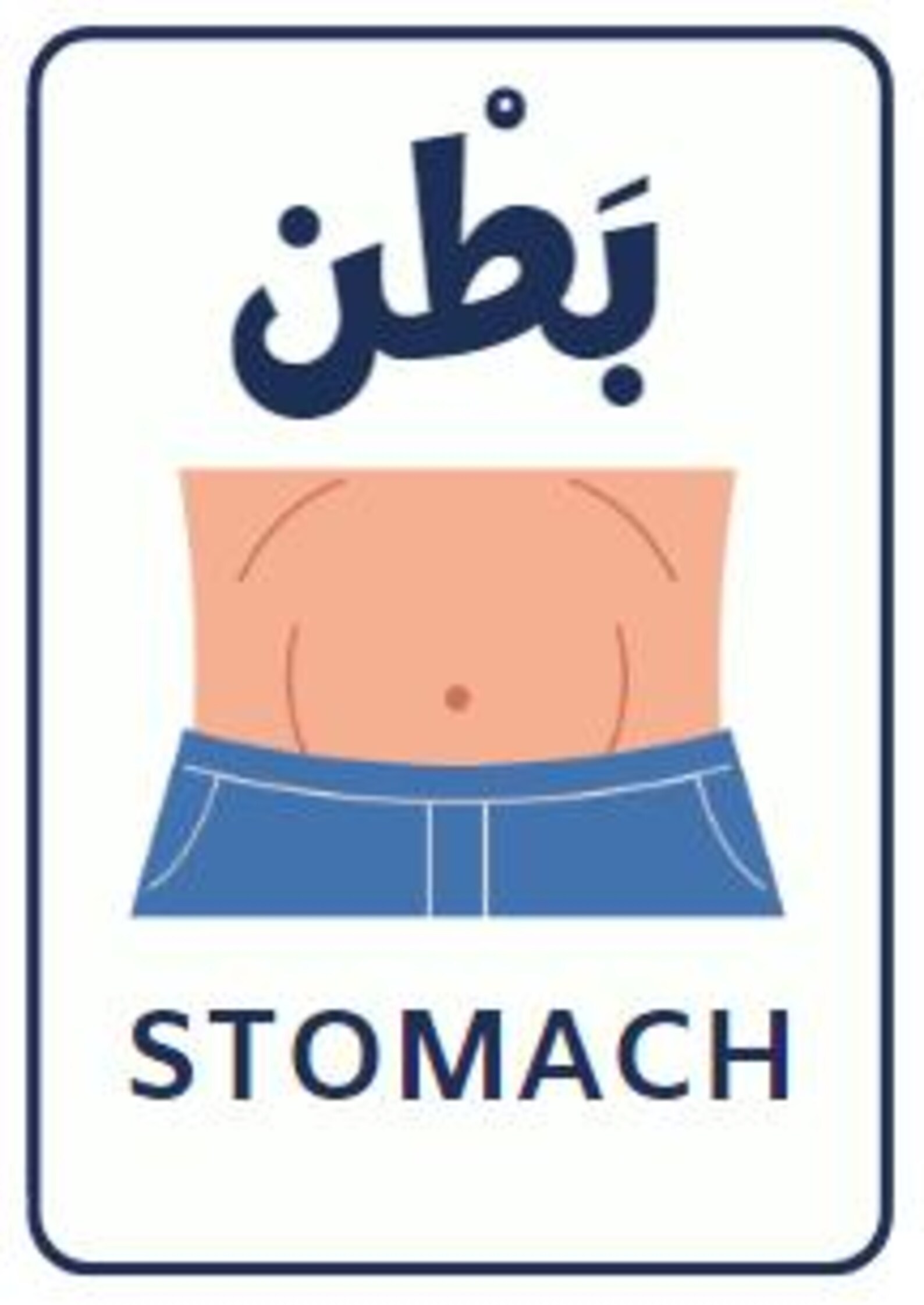 Body Parts Flashcards in Arabic and English - Etsy