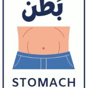 Body Parts Flashcards in Arabic and English - Etsy