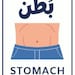 Body Parts Flashcards in Arabic and English - Etsy