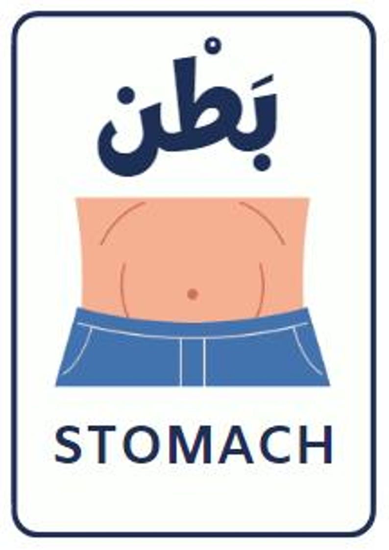 Body Parts Flashcards in Arabic and English - Etsy
