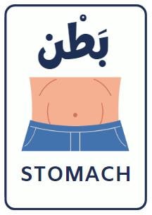 Body Parts Flashcards in Arabic and English - Etsy