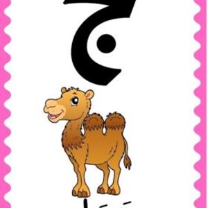 Arabic Animals Flashcards, Arabic Posters, Arabic Printable, - Etsy