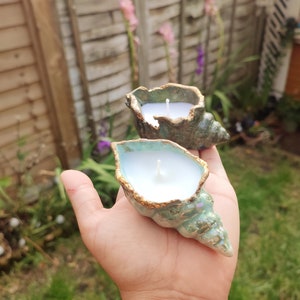 Ceramic Sea Shell Candles - Etsy