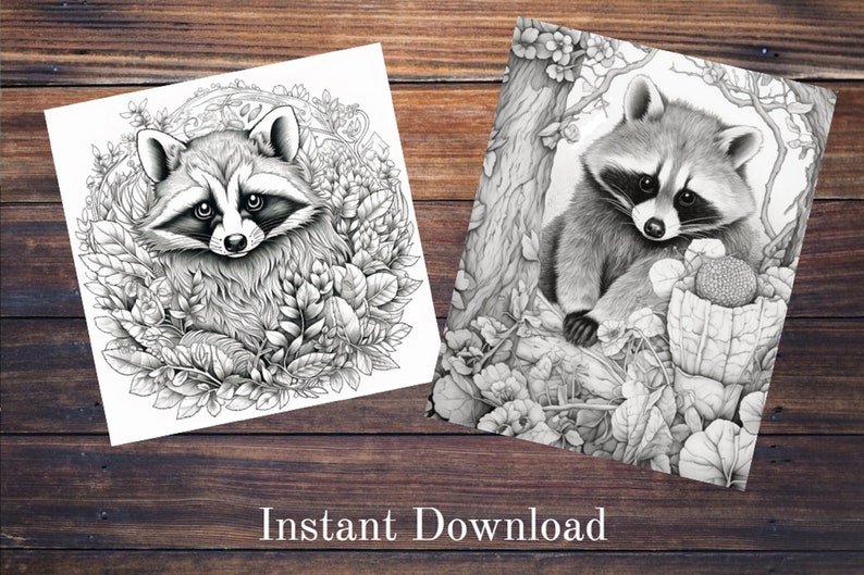 10 Cute Raccoon Coloring Pages Printable Adult Coloring - Etsy