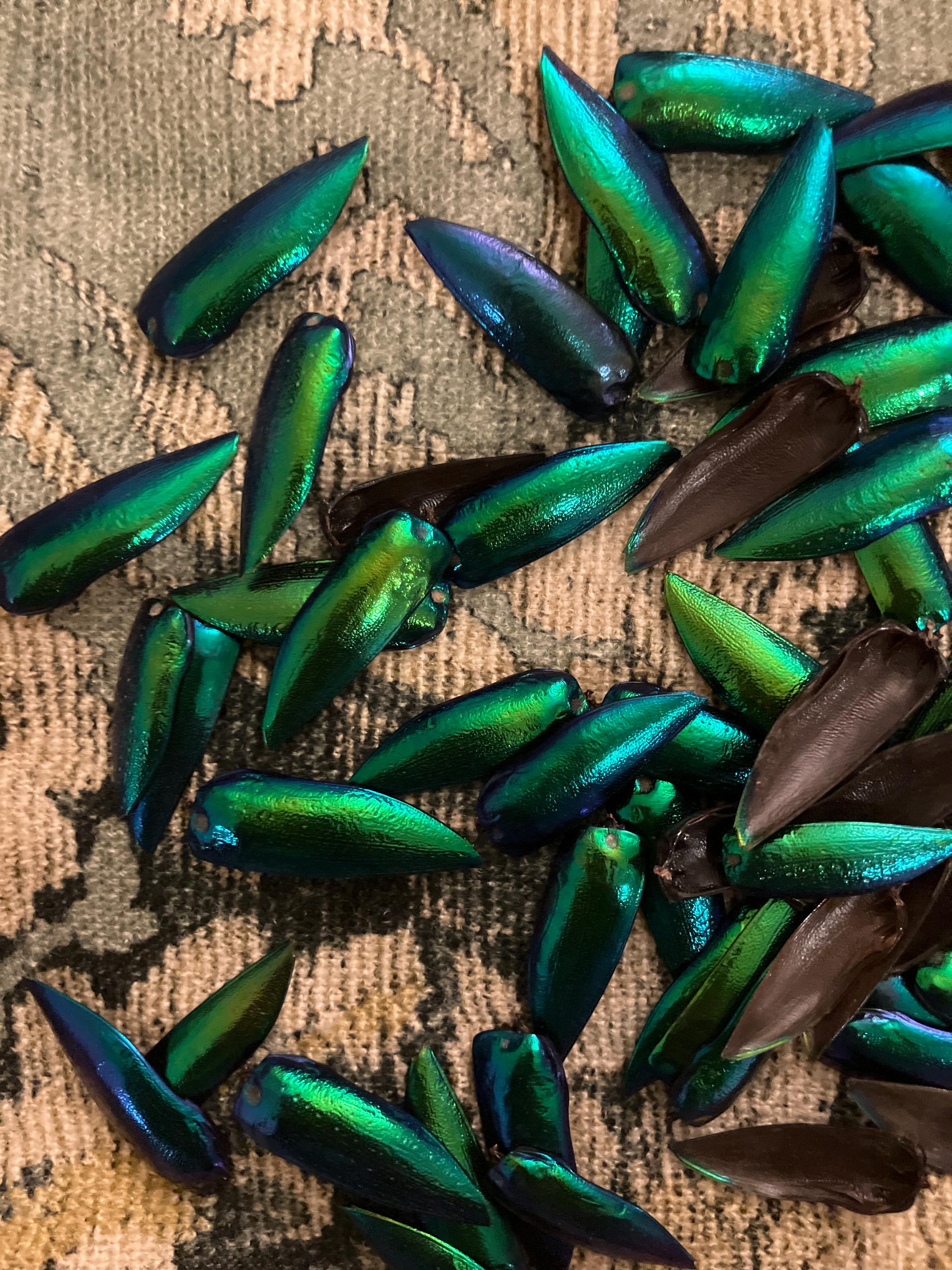 Vintage Real (cruelty Free) Beetle Wings - Etsy