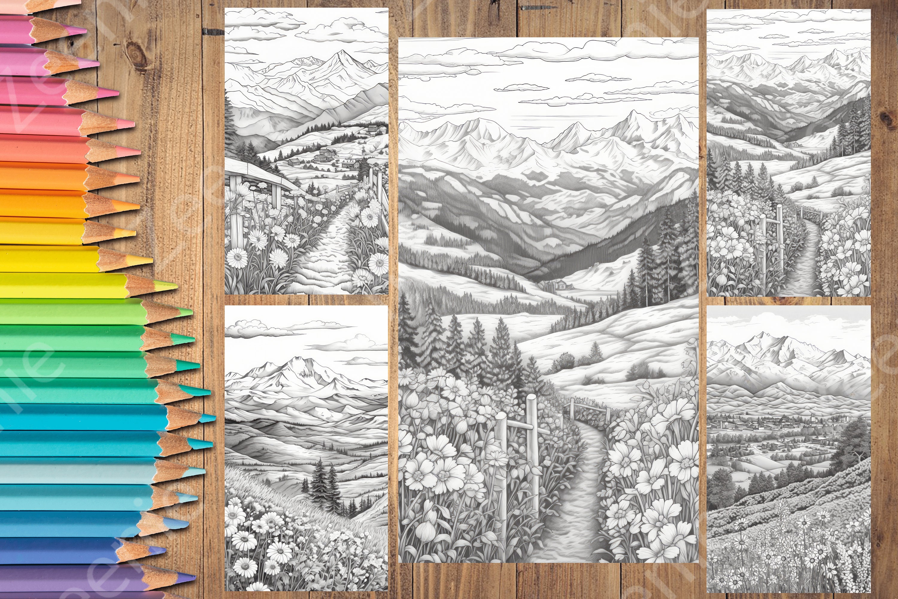 24 Alpine Meadows Coloring Book - Adults Kids Coloring Pages, Instant ...